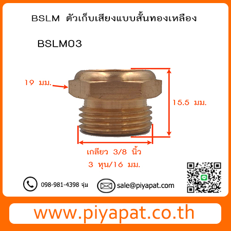 อุปกรณ์เก็บเสียง ปลั๊กอุด: ตัวเก็บเสียง (Silencer) แบบสั้นทองเหลือง ...